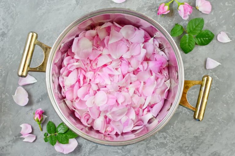 Rose Petal Honey Recipe - Cook.me Recipes